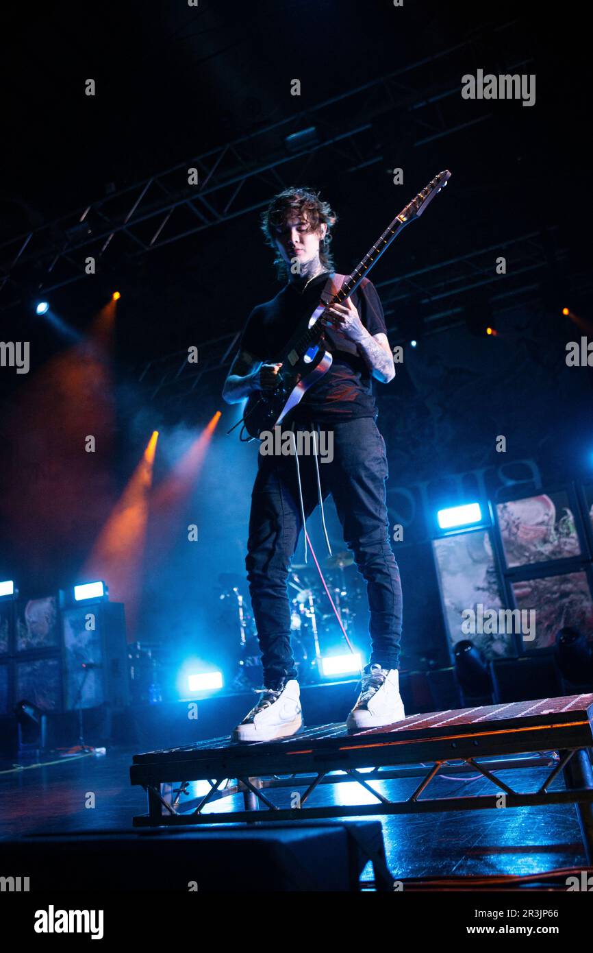 Polyphia hi-res stock photography and images - Alamy