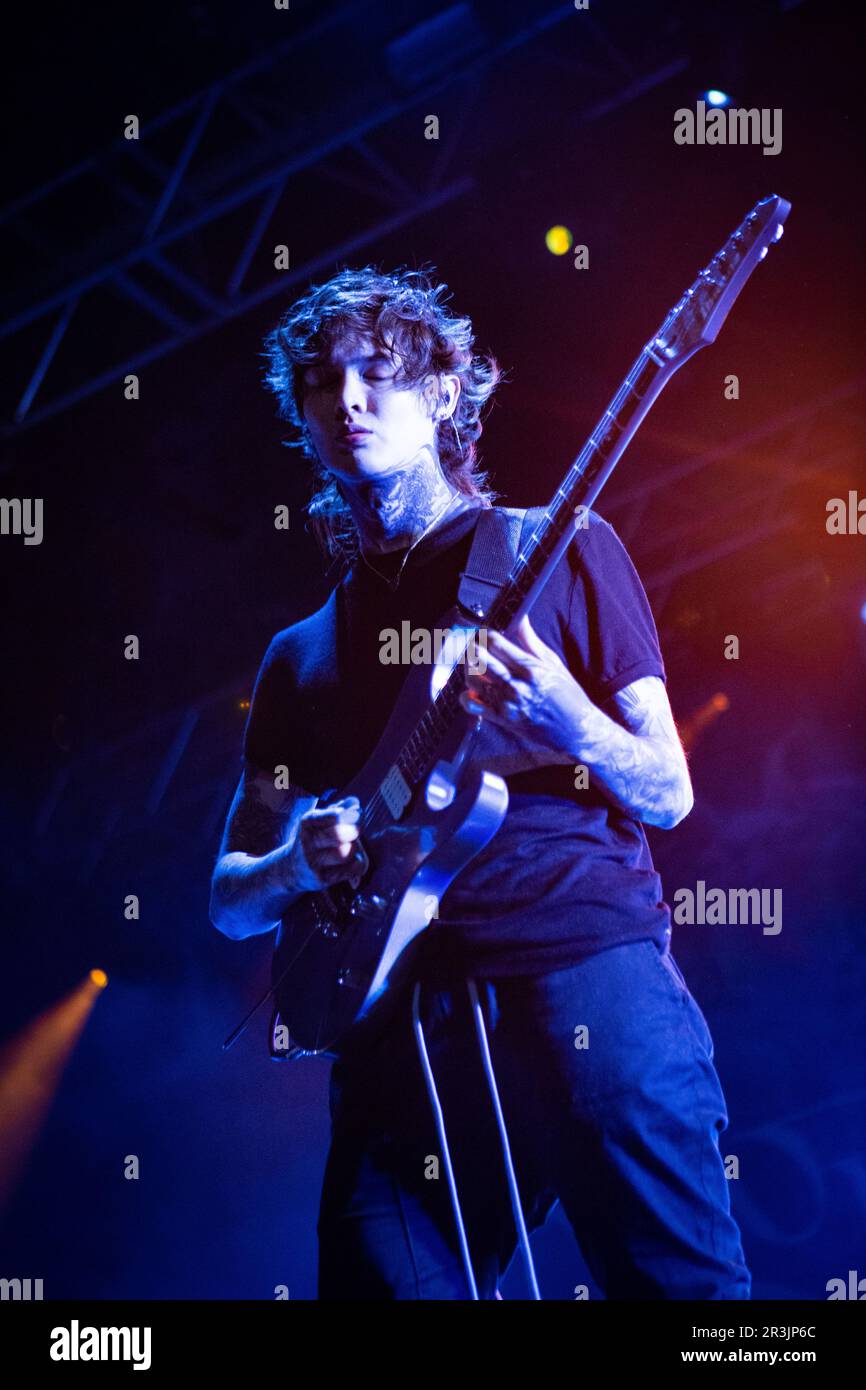 Polyphia hi-res stock photography and images - Alamy
