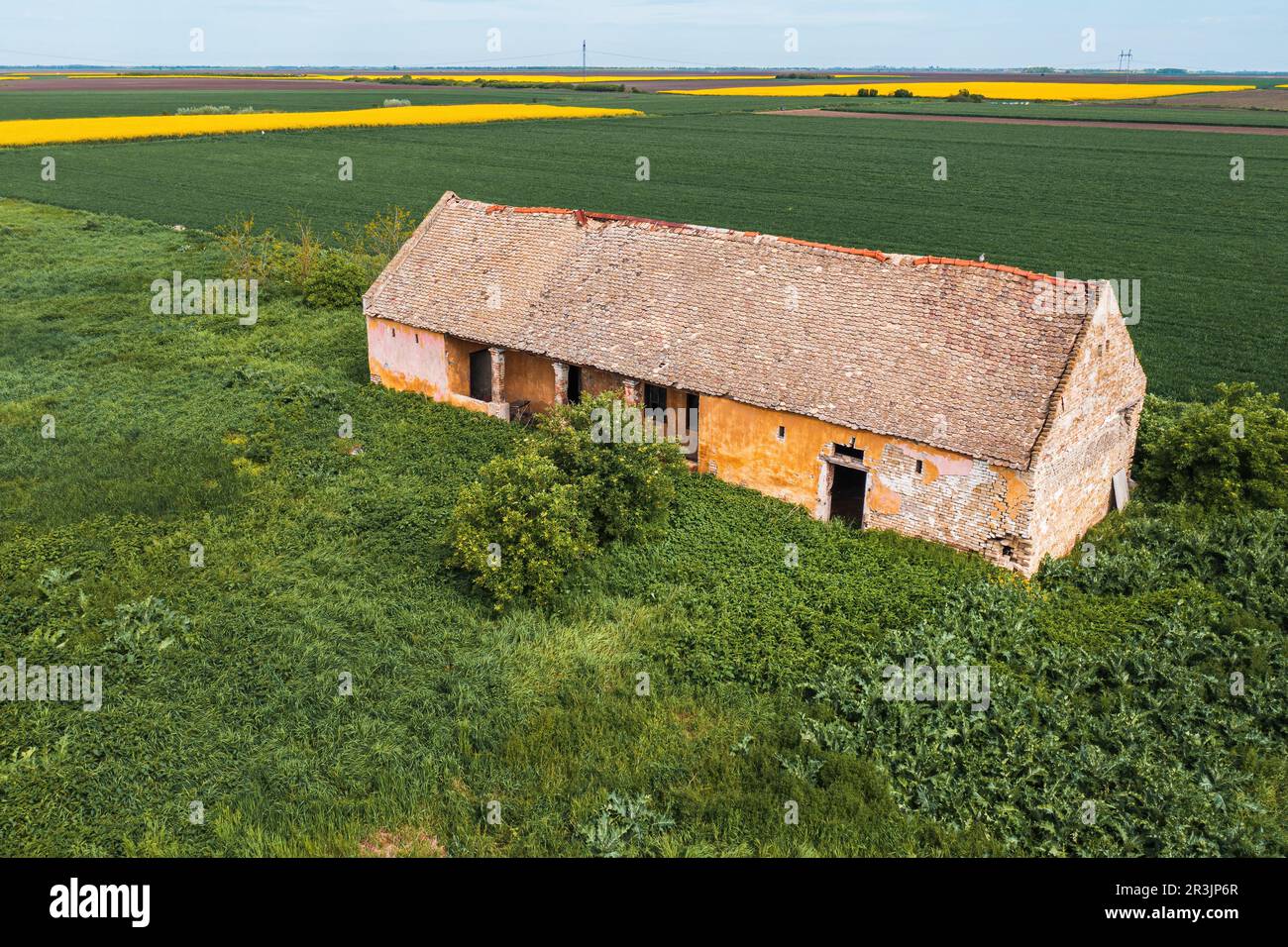 Old abandoned and ruined farm house surrounded with cultivated fields in Vojvodina from drone ...