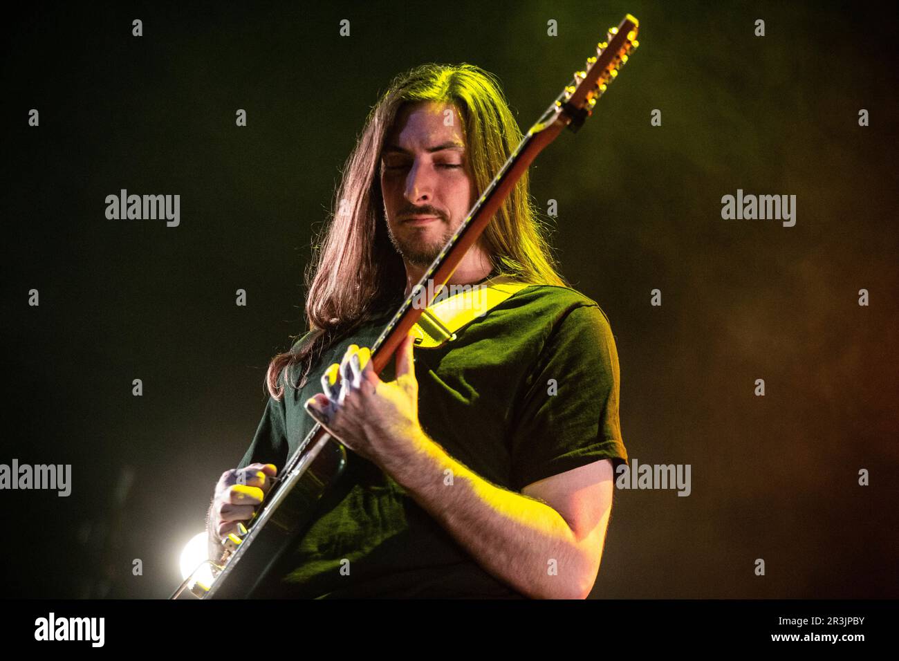 Polyphia hi-res stock photography and images - Alamy