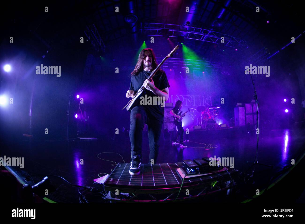 Polyphia hi-res stock photography and images - Alamy