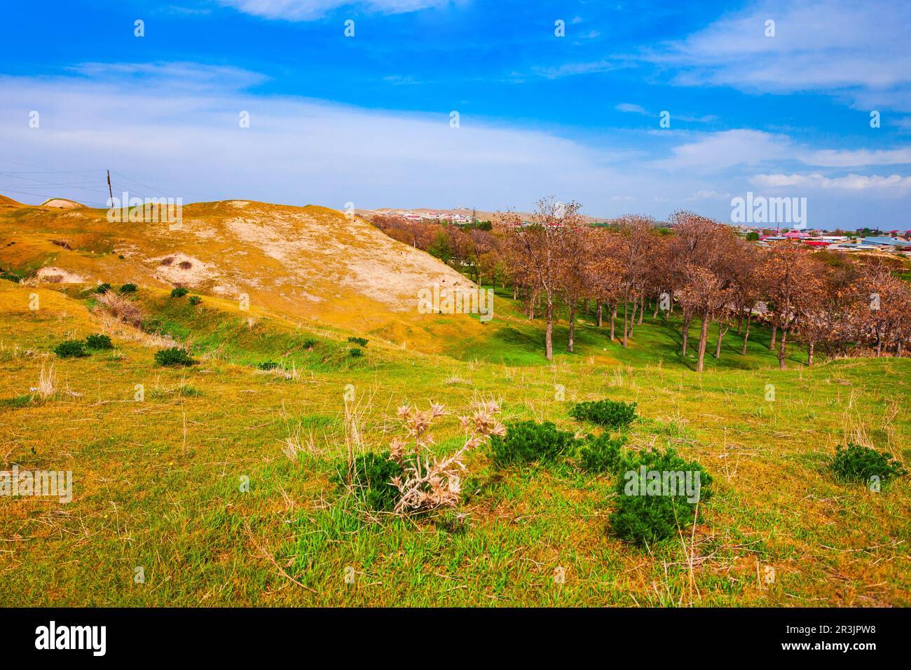 Afrasiyab or Afrosiyob is a one of the largest archaeological sites in ...