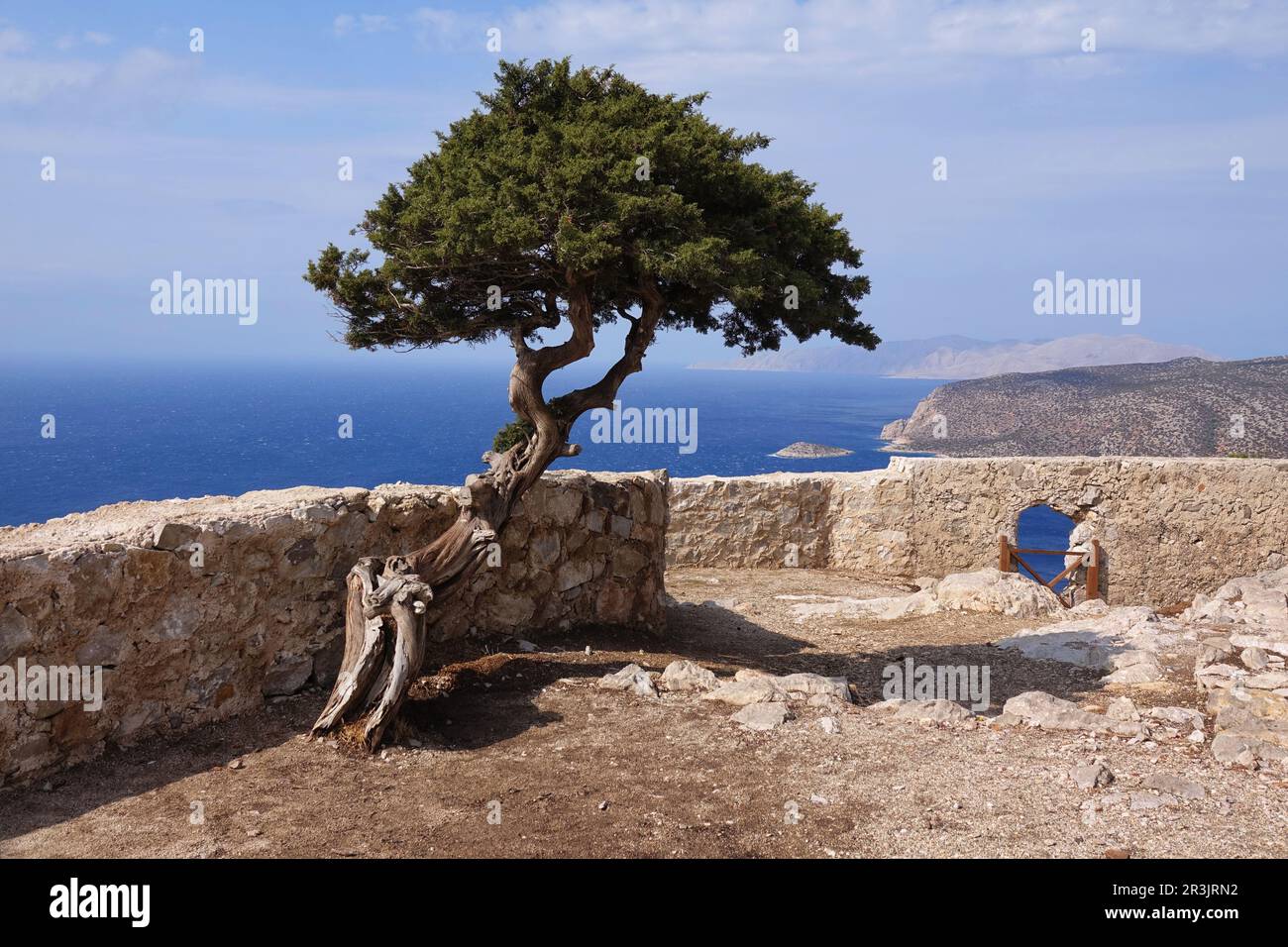 Tree on the Monolithos in Rhodes Stock Photo - Alamy