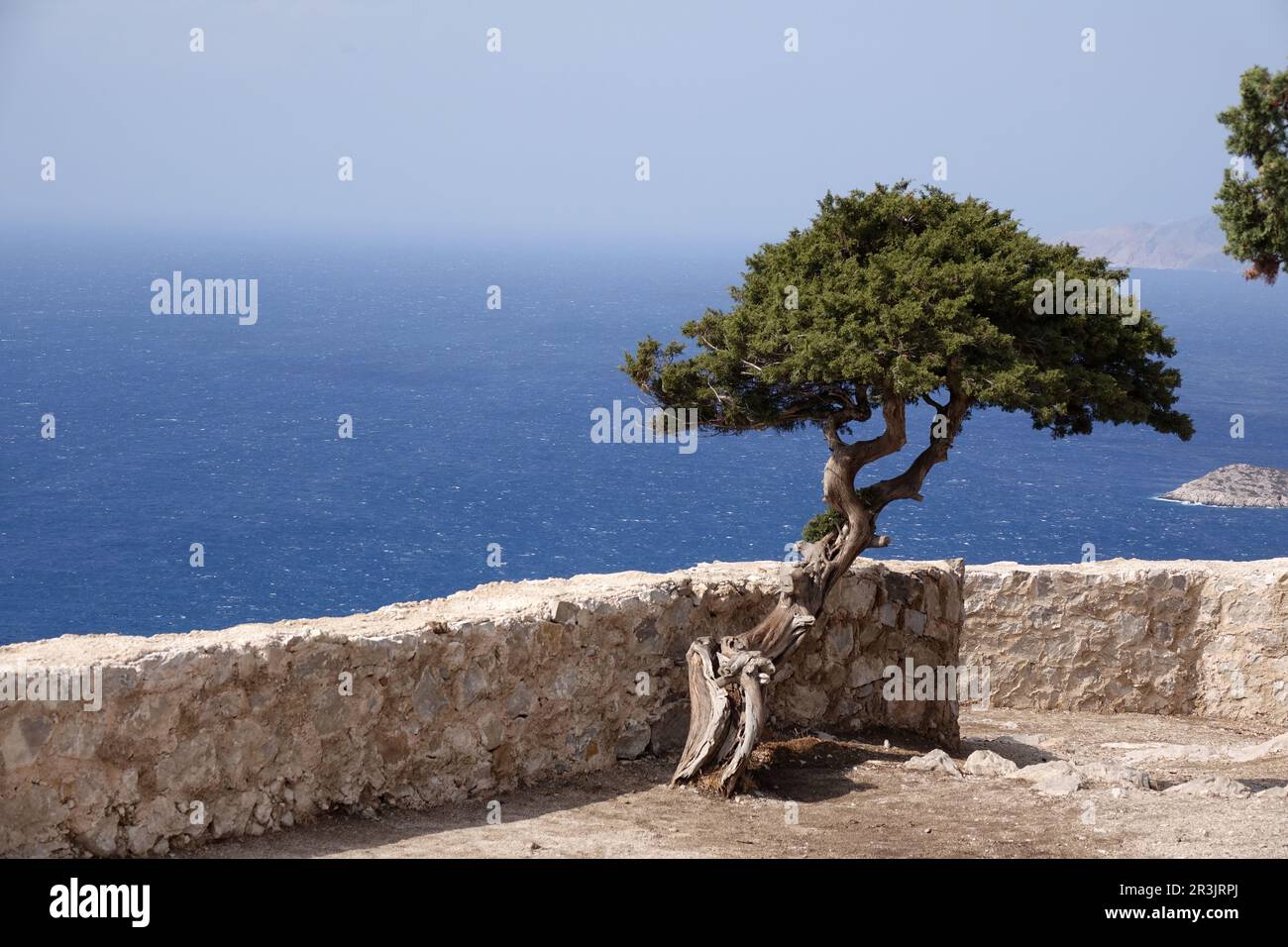 Tree on the Monolithos in Rhodes Stock Photo - Alamy