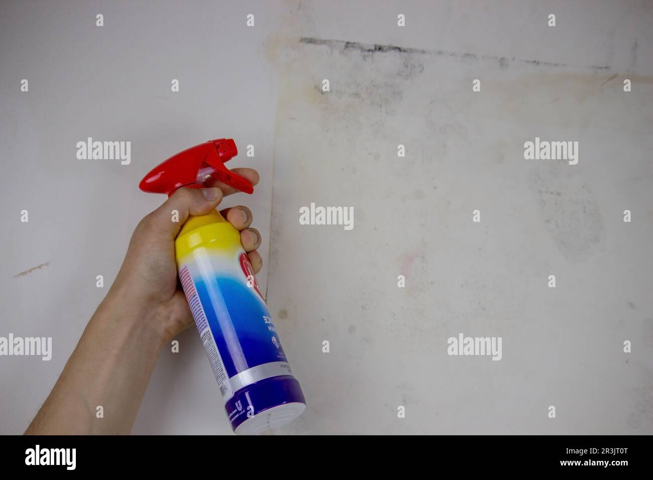 removing black mold from the wall. selective focus Stock Photo - Alamy removing black mold from the wall. selective focus Stock Photo - Alamy