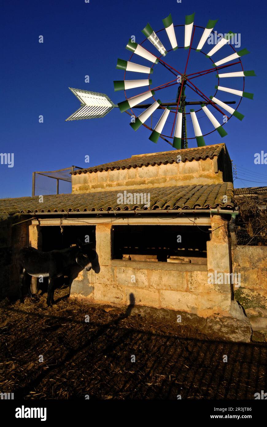 Molino para extraccion de agua (s.XIX-XX). Cami de Sa pedra rodona ...
