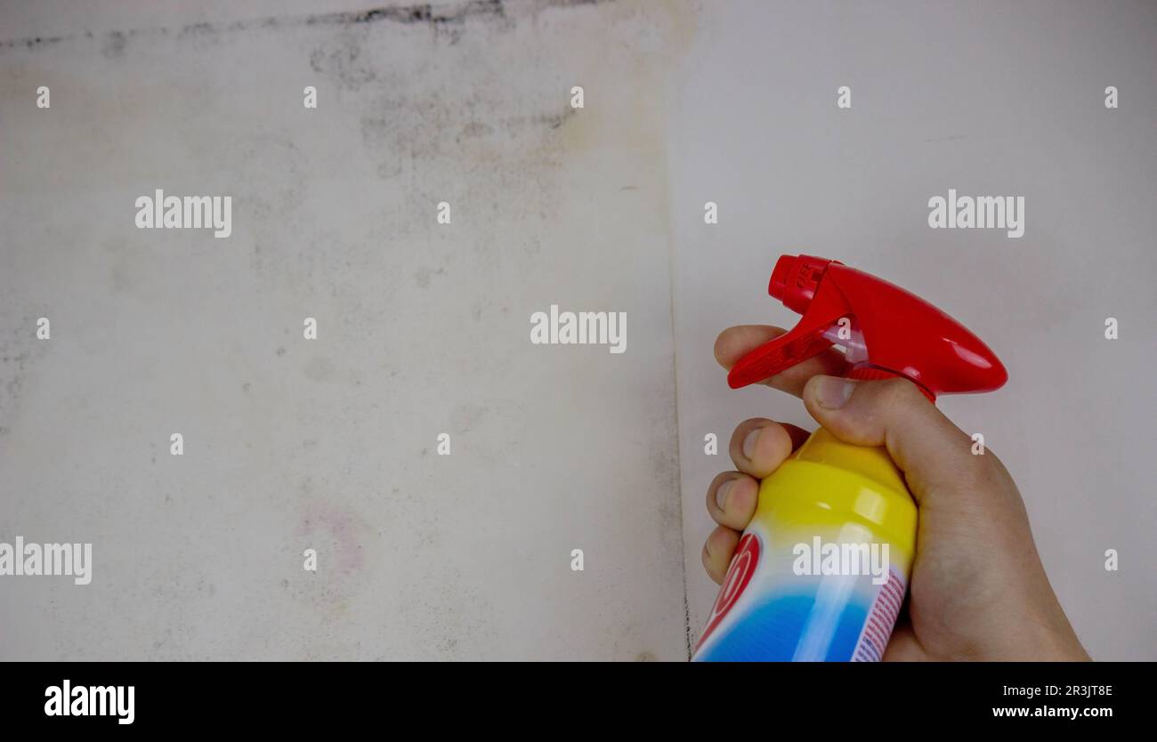 removing black mold from the wall. selective focus Stock Photo - Alamy removing black mold from the wall. selective focus Stock Photo - Alamy