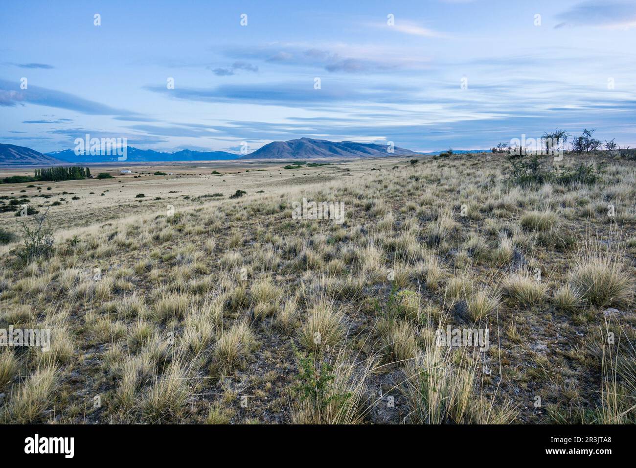 pampa cerca del Lago Roca, El Calafate ,Parque Nacional Los Glaciares ...