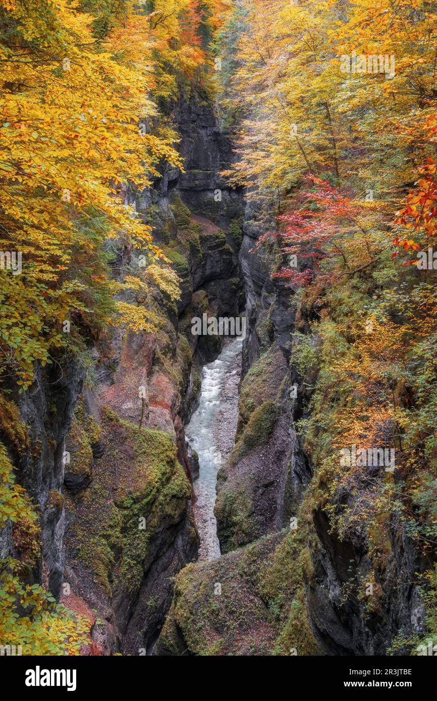 Canyon Partnachklamm in the German Alps in Fall Stock Photo - Alamy