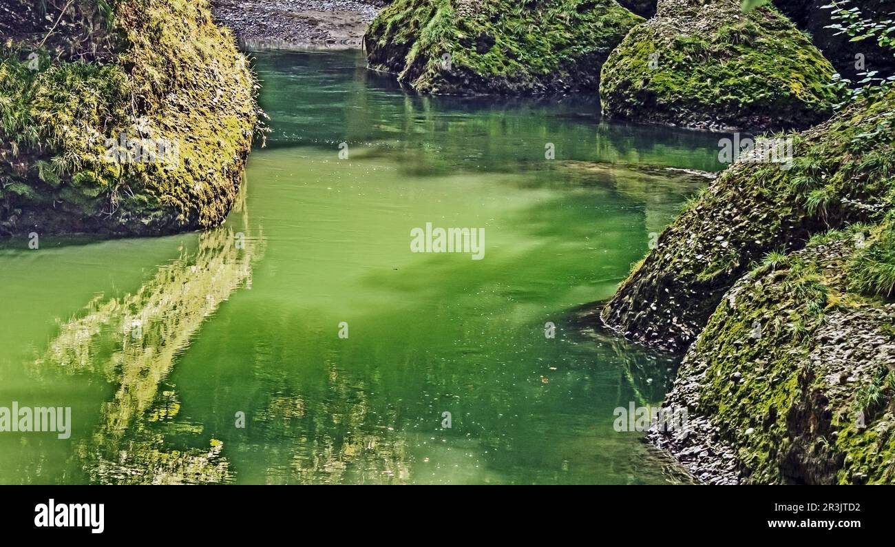 Aeuli Gorge in the Thur Valley near Lichtensteig, Canton St. Gallen ...