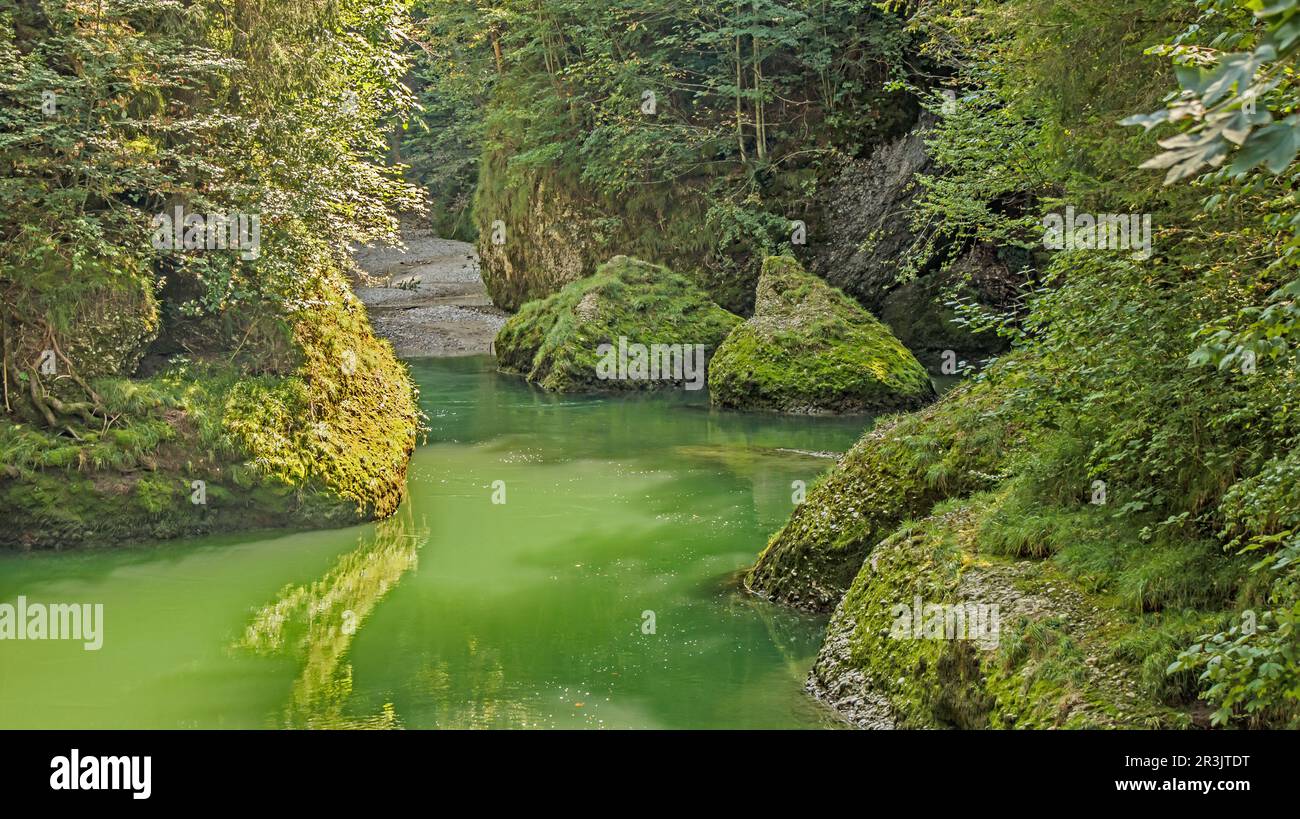 Aeuli Gorge in the Thur Valley near Lichtensteig, Canton St. Gallen ...