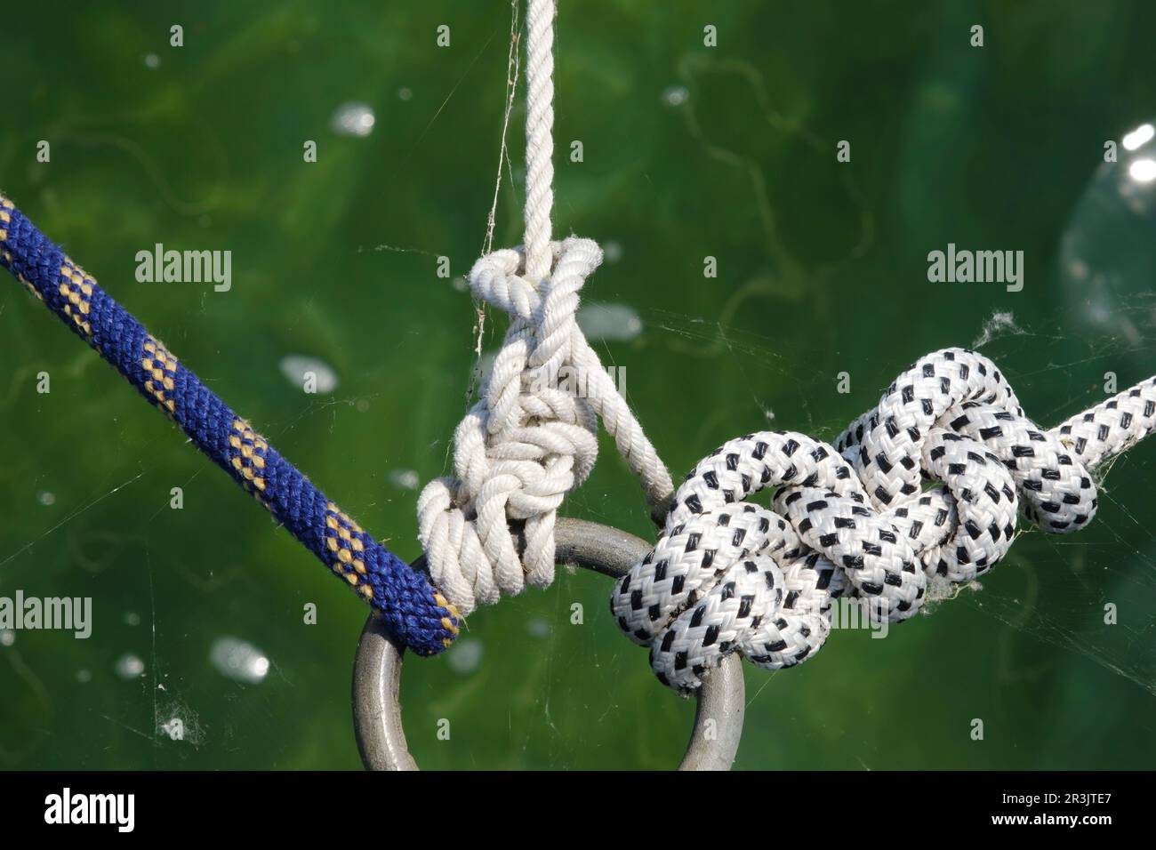Rope at a ring above the water Stock Photo - Alamy
