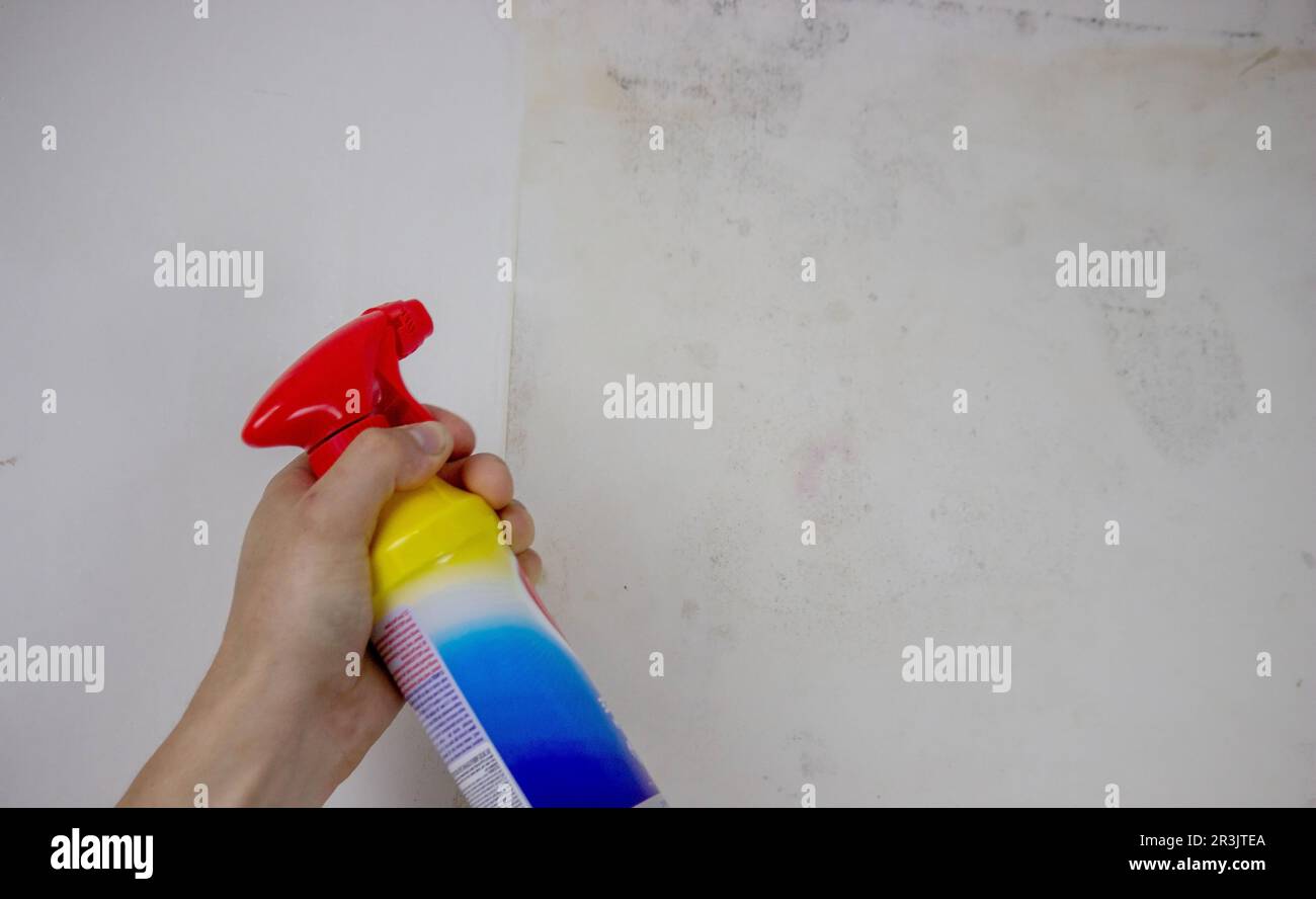 removing black mold from the wall. selective focus Stock Photo - Alamy removing black mold from the wall. selective focus Stock Photo - Alamy