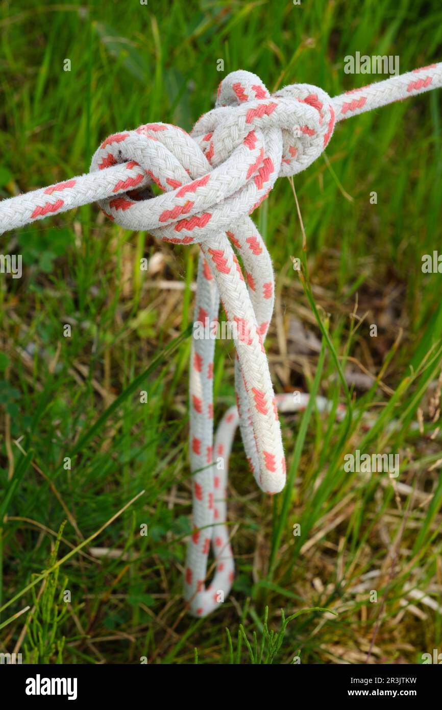 Bonded hi-res stock photography and images - Alamy