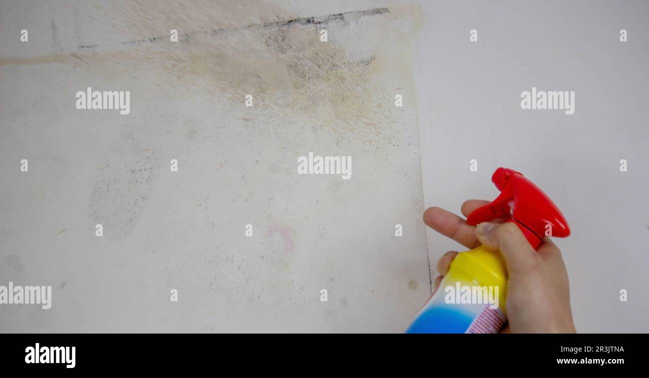 removing black mold from the wall. selective focus Stock Photo - Alamy removing black mold from the wall. selective focus Stock Photo - Alamy
