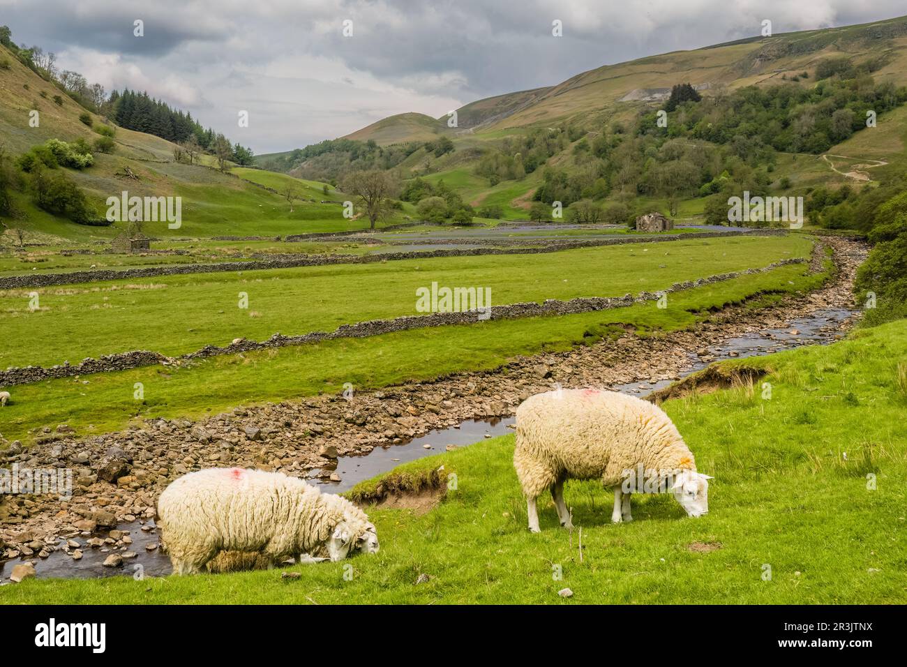 Keld is a tiny village at the top of Swaledale in the North Yorkshire ...