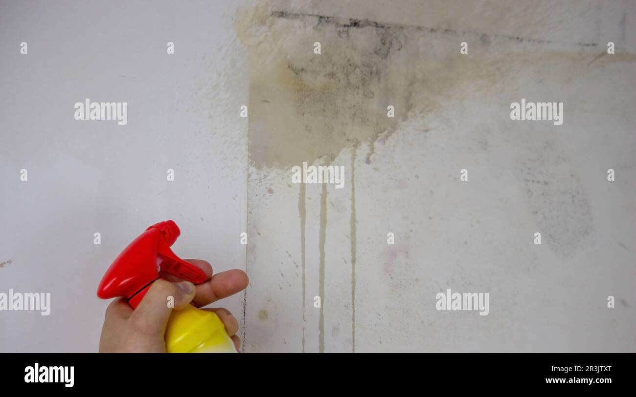 removing black mold from the wall. selective focus Stock Photo - Alamy removing black mold from the wall. selective focus Stock Photo - Alamy