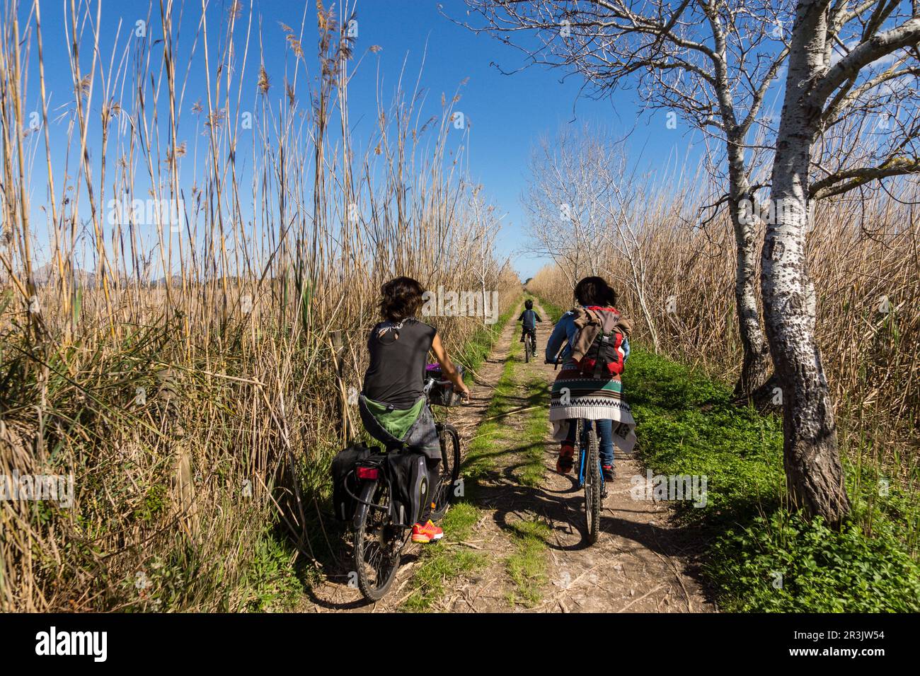 Parque natural de la Albufera de Mallorca, Prat de Son Serra, Mallorca ...