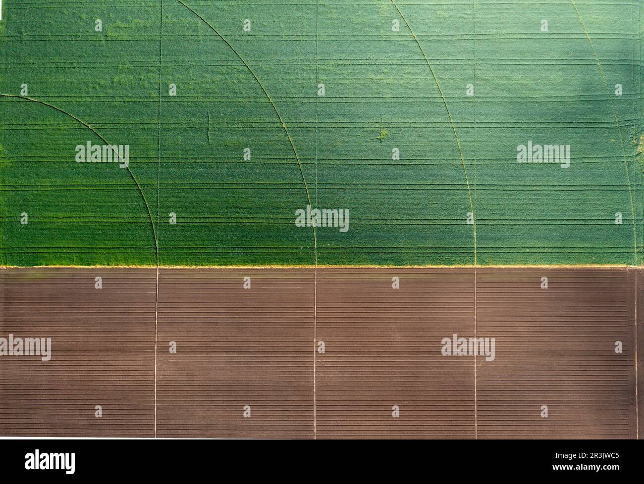 Aerial top view of a different agriculture fields. Drone shot Stock ...