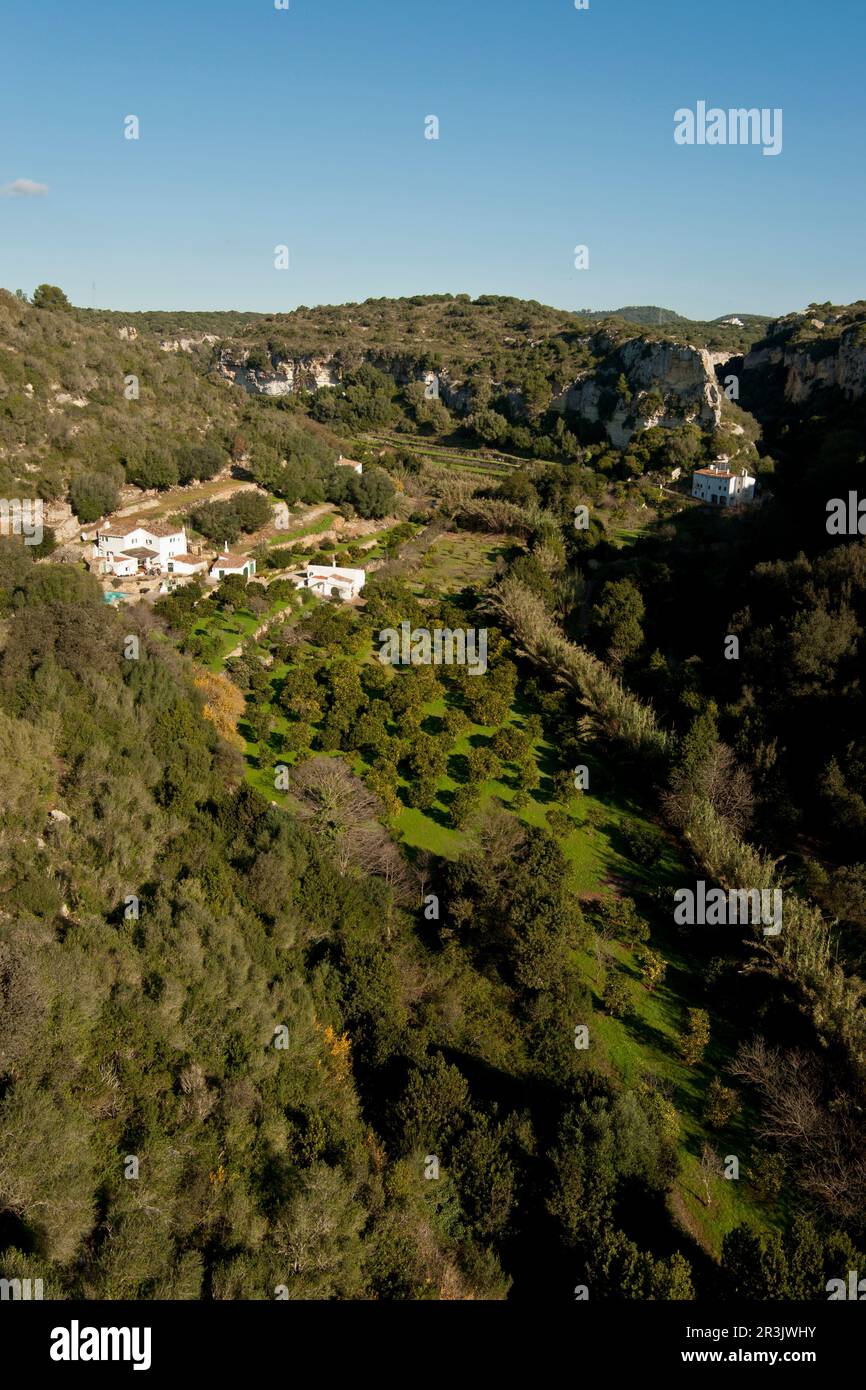 Vegetacion de costa hi-res stock photography and images - Alamy