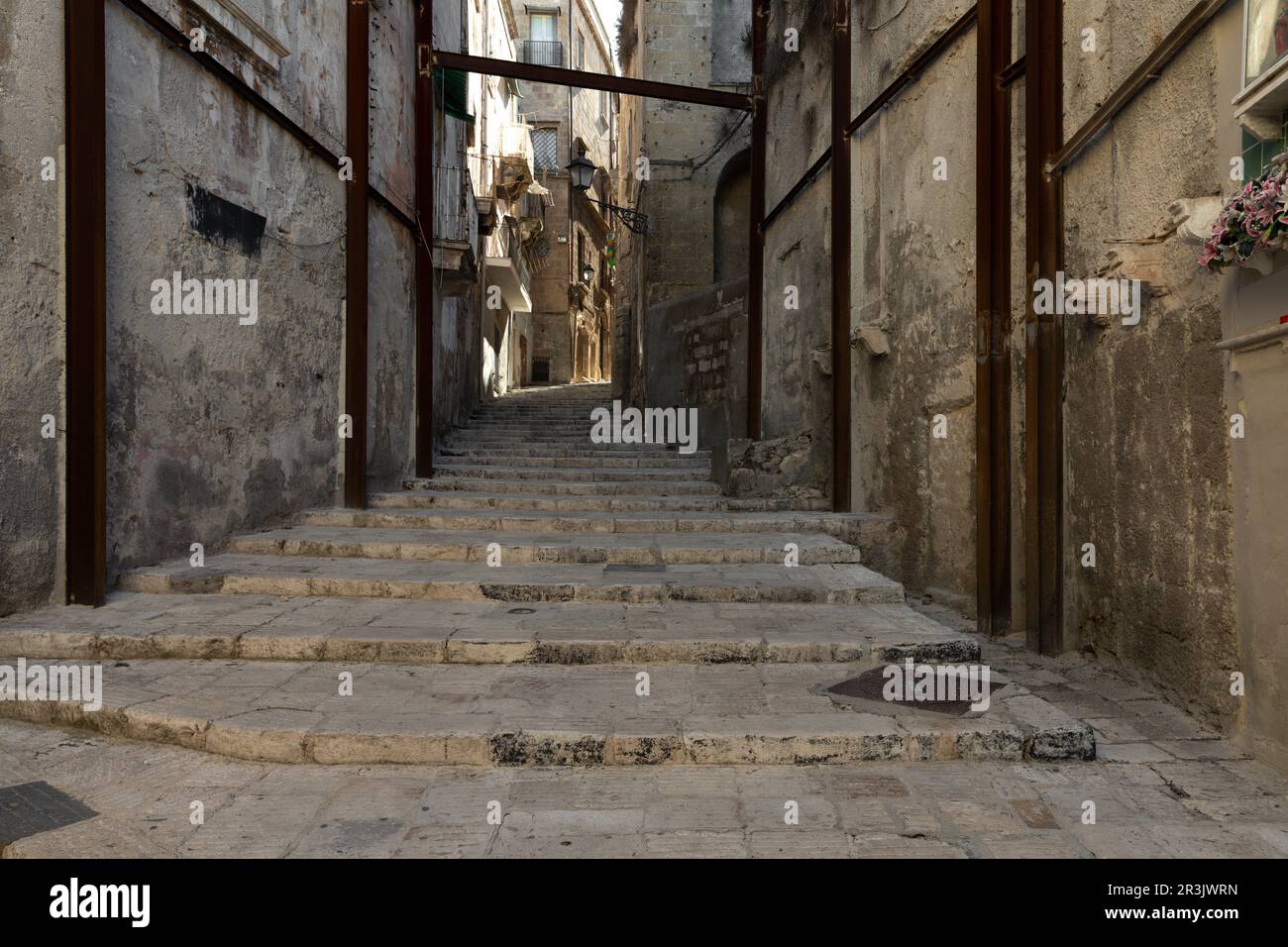 Tarento hi-res stock photography and images - Alamy