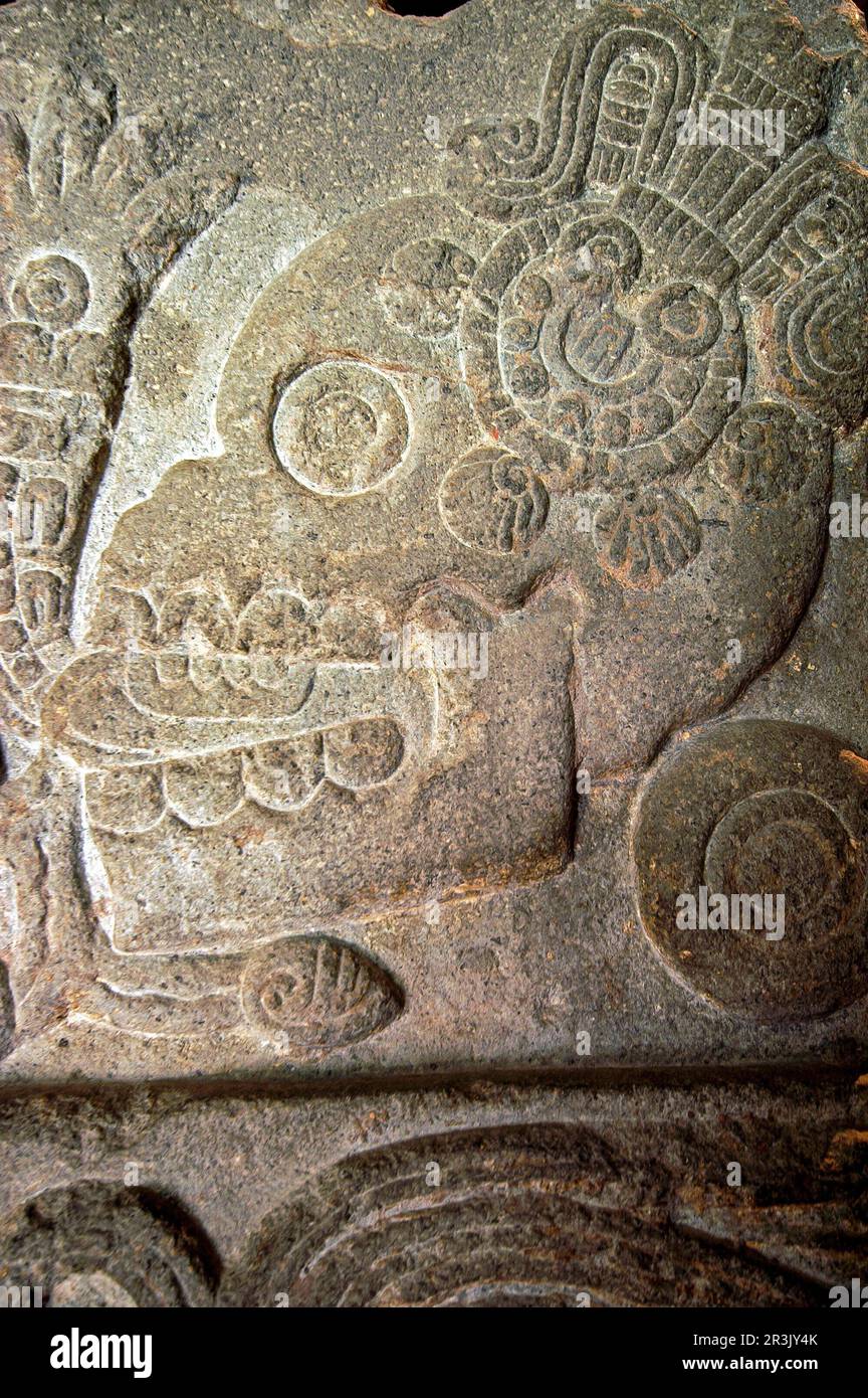 Relief,Teocalli de la guerra sagrada. Mexican Culture. National Museum ...