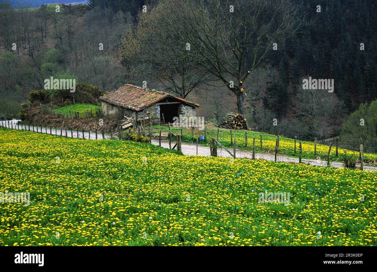 Laderas occidentales hi-res stock photography and images - Alamy