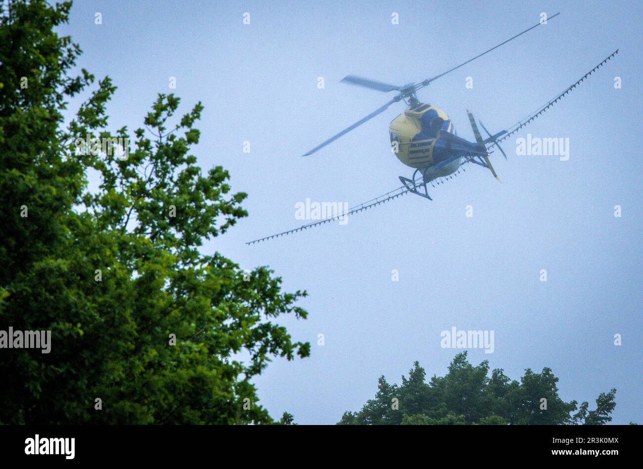 Parchim, Germany. 24th May, 2023. A special helicopter sprays the ...