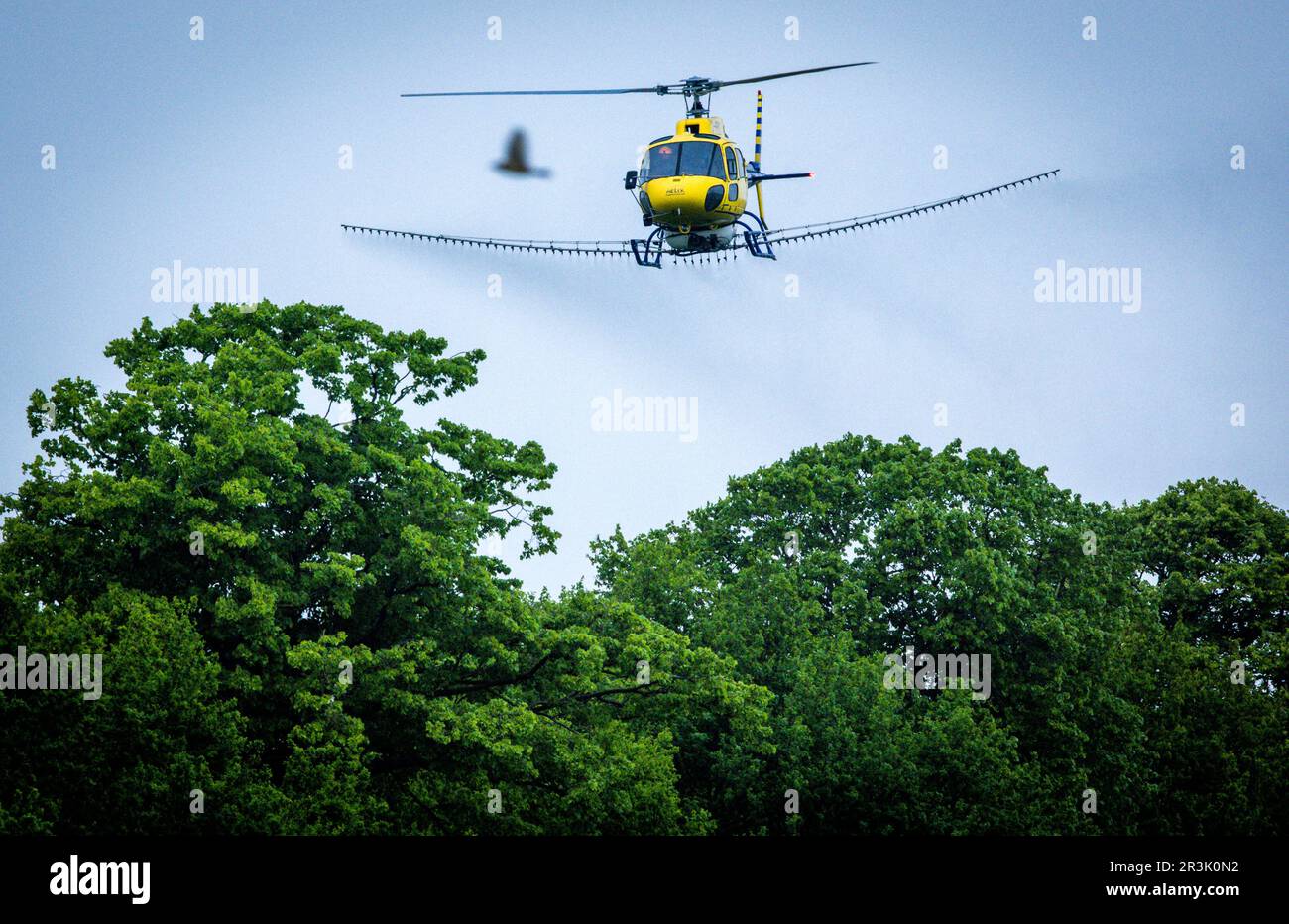 Parchim, Germany. 24th May, 2023. A special helicopter sprays the ...