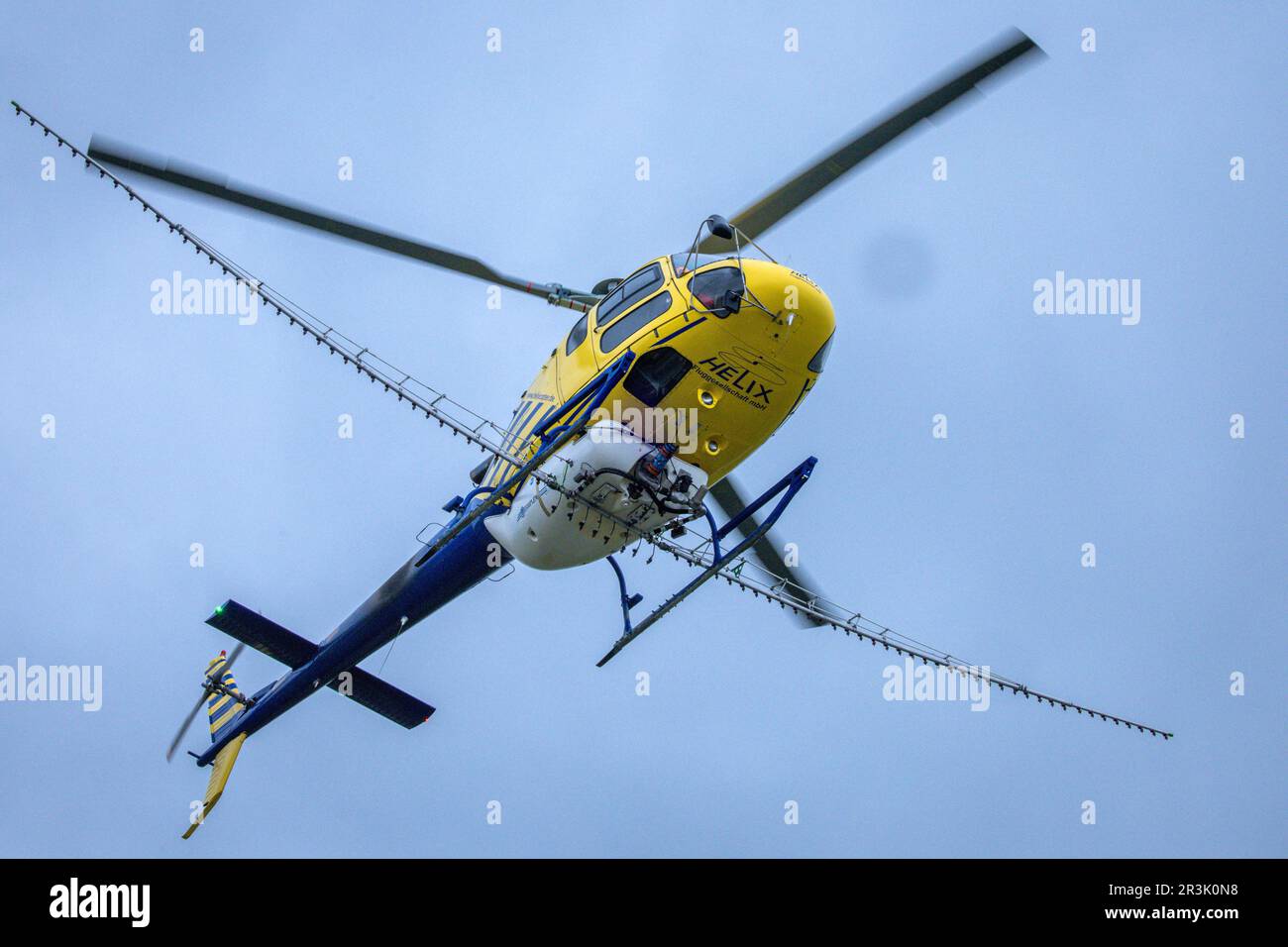 Parchim, Germany. 24th May, 2023. A special helicopter sprays the ...