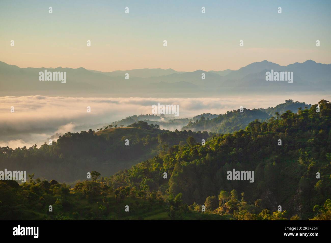 Scenic landscape view of the forested mountain slope in mist and clouds ...