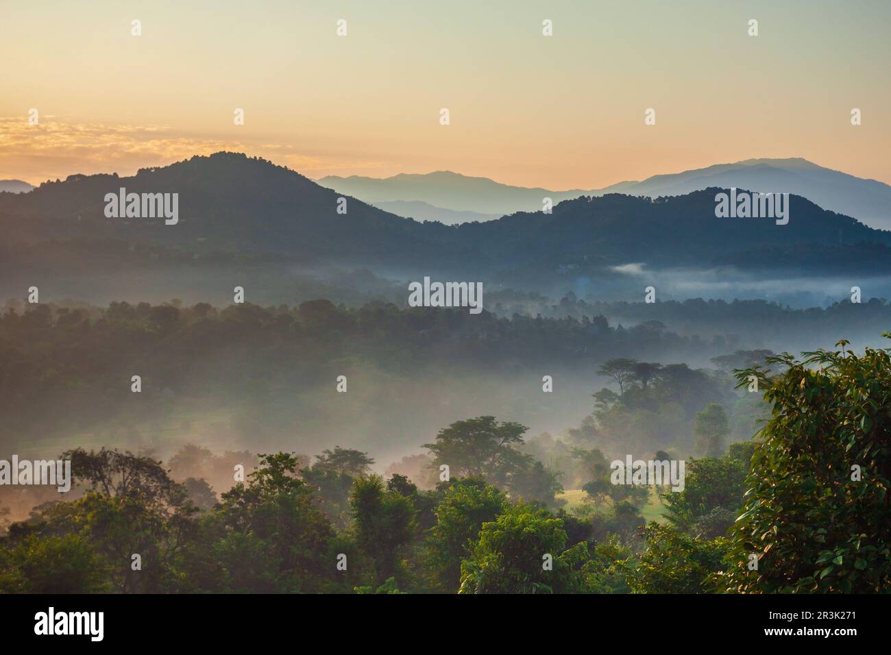 Scenic landscape view of the forested mountain slope in mist and clouds ...
