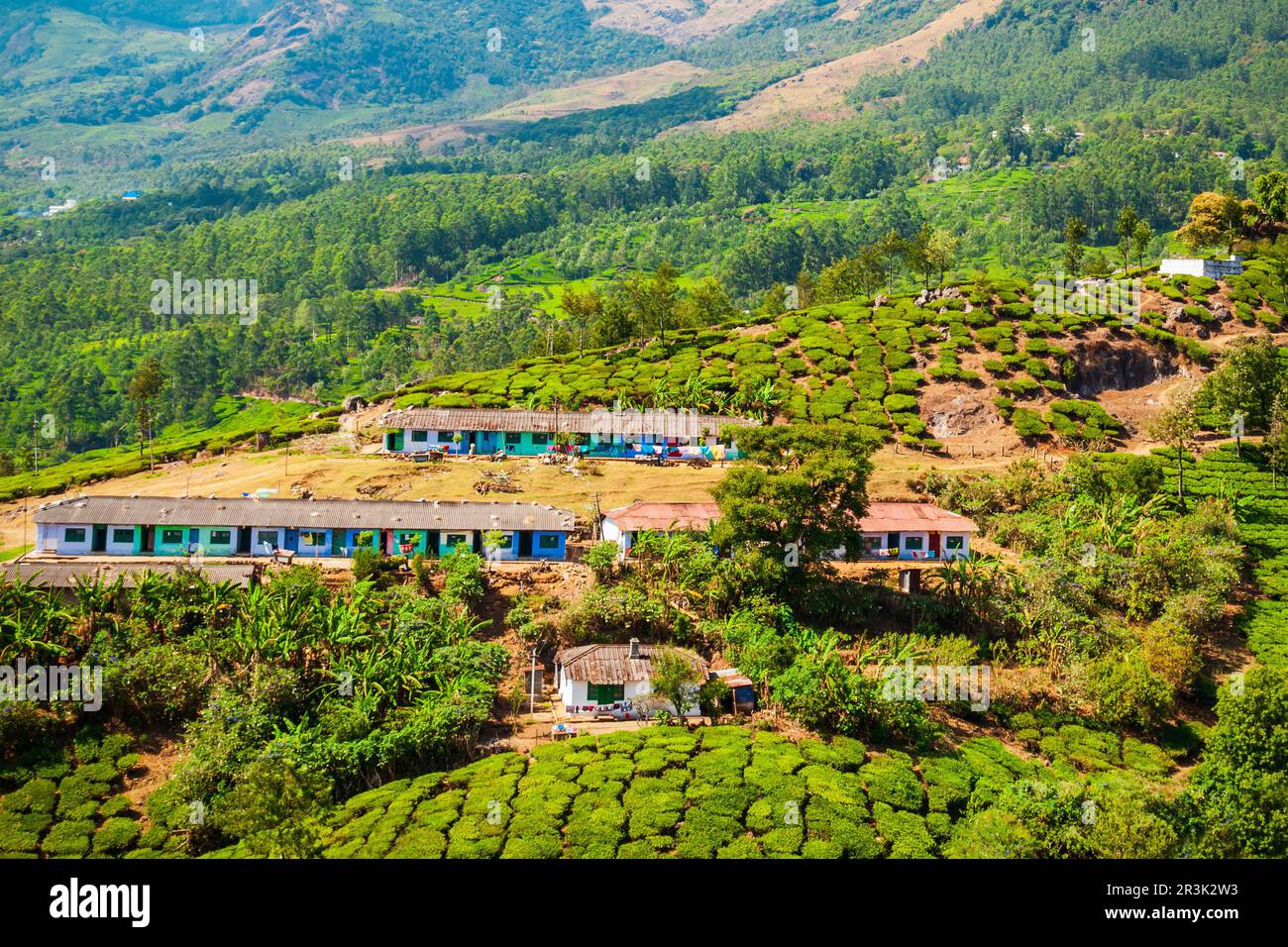 Amazing landscape view of tea plantation nature background Stock Photo ...
