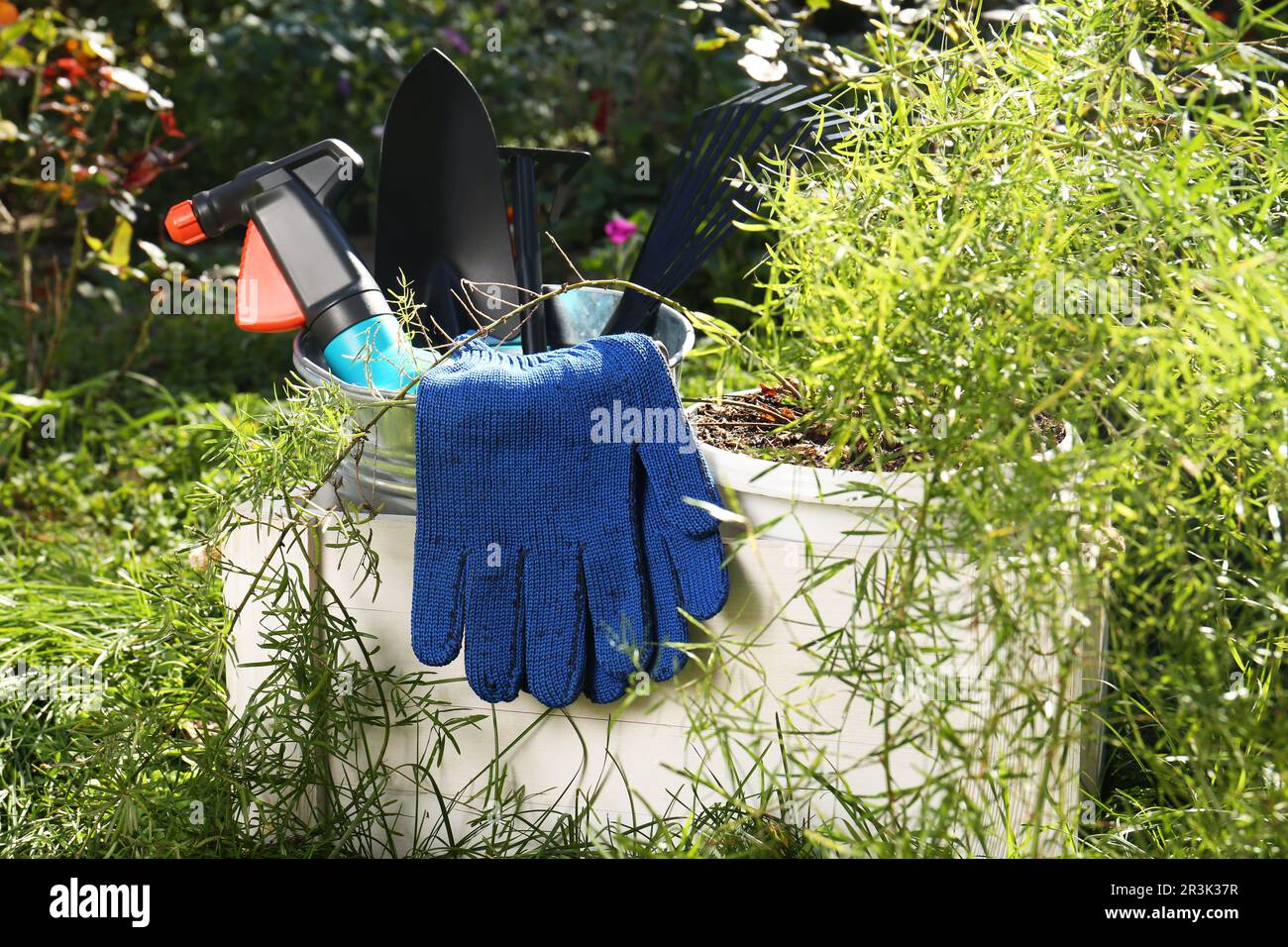 Wooden crate with gardening gloves, tools and potted plant on grass ...