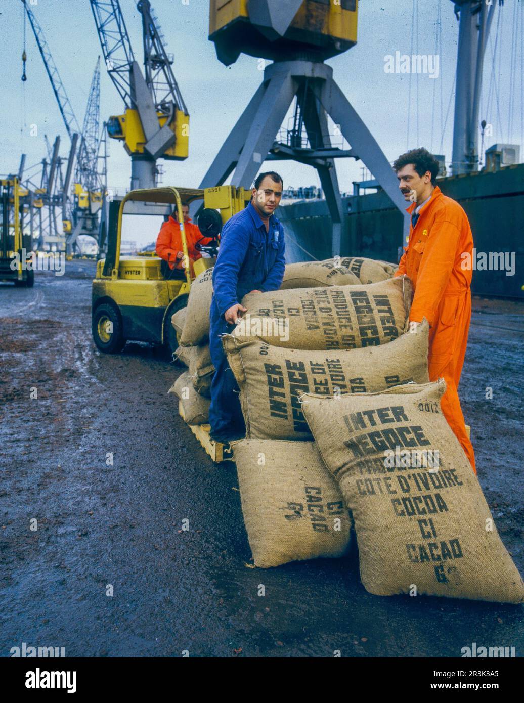 Netherlands; Unloading a shipment of cacao coming from the Ivory Coast ...