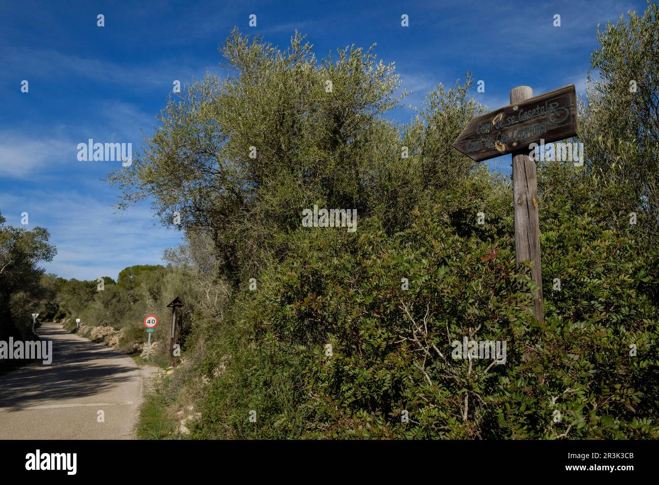 cycle route road signage, Llucmajor, Mallorca, Balearic Islands, Spain ...
