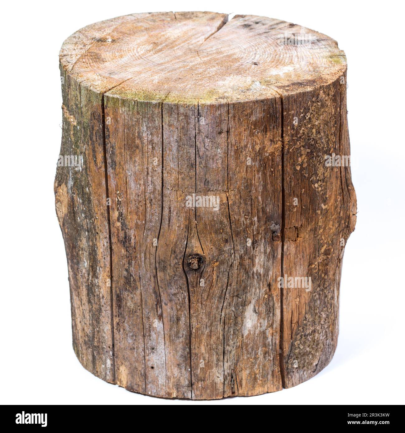 Wood log isolated on a white background Stock Photo - Alamy