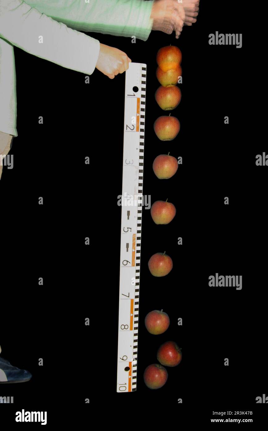 Netherlands - Physics experiment; measuring the acceleration of a ...