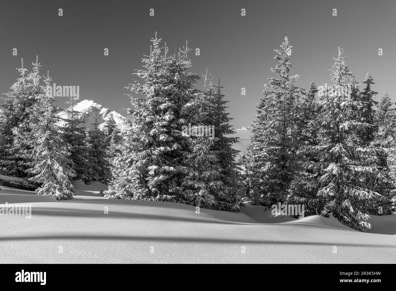 Tannheimer alps Black and White Stock Photos & Images - Alamy