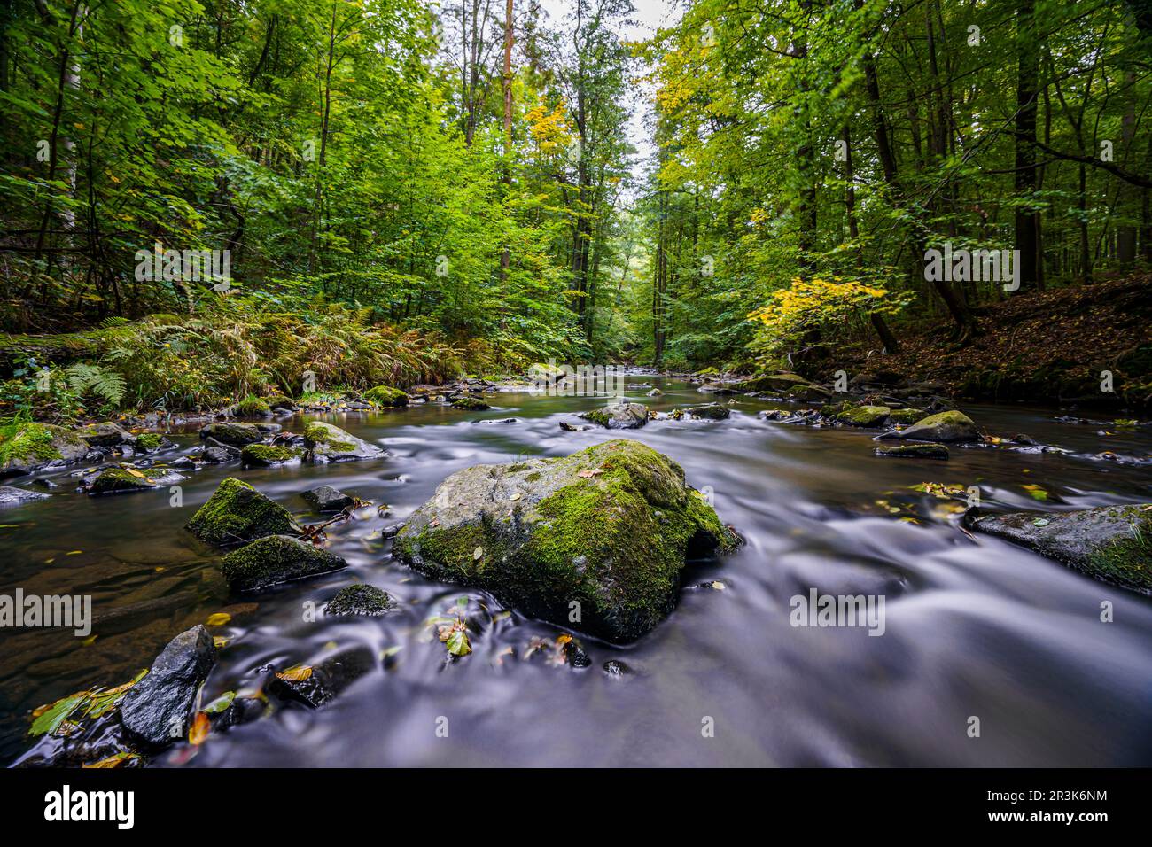 River landscape in Saxony, the LÃ¶bauer Wasser- in the heart of Upper ...