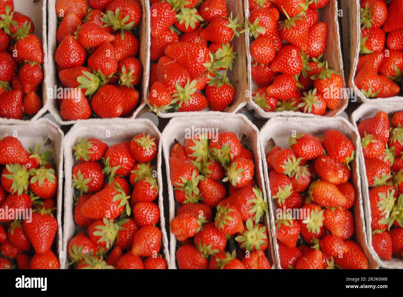 24 May,2023 / Inflation high and strawberry fruit price are gone sky ...