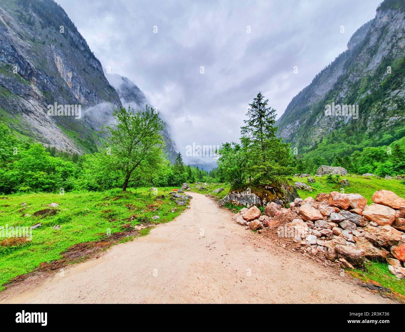 Beauty mountain landscape near the Konigssee lake in the southeast ...