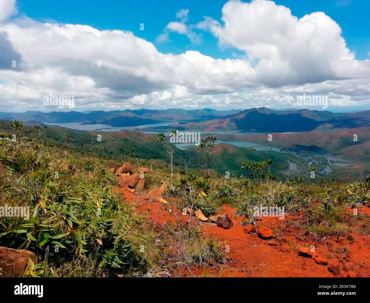 Mining scrub and tropical forest, Blue River Park, New Caledonia Stock ...