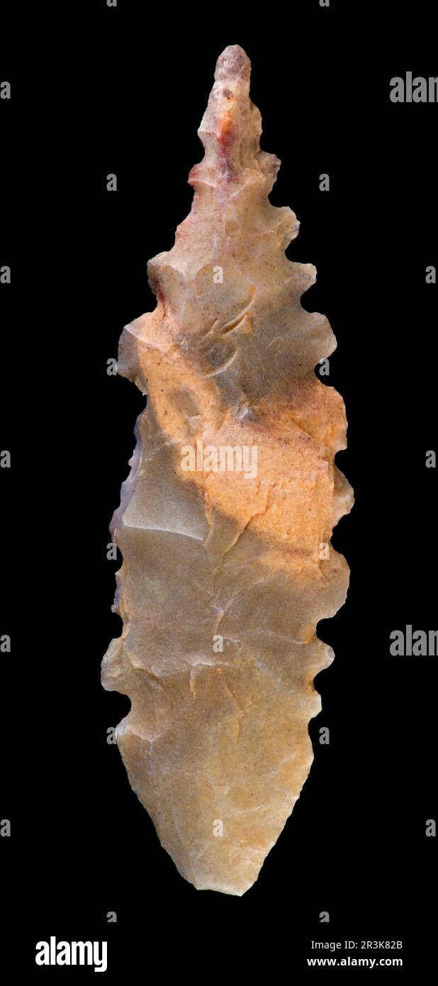 Toothed shape. Point in chipped stone. Neolithic period. North Africa ...