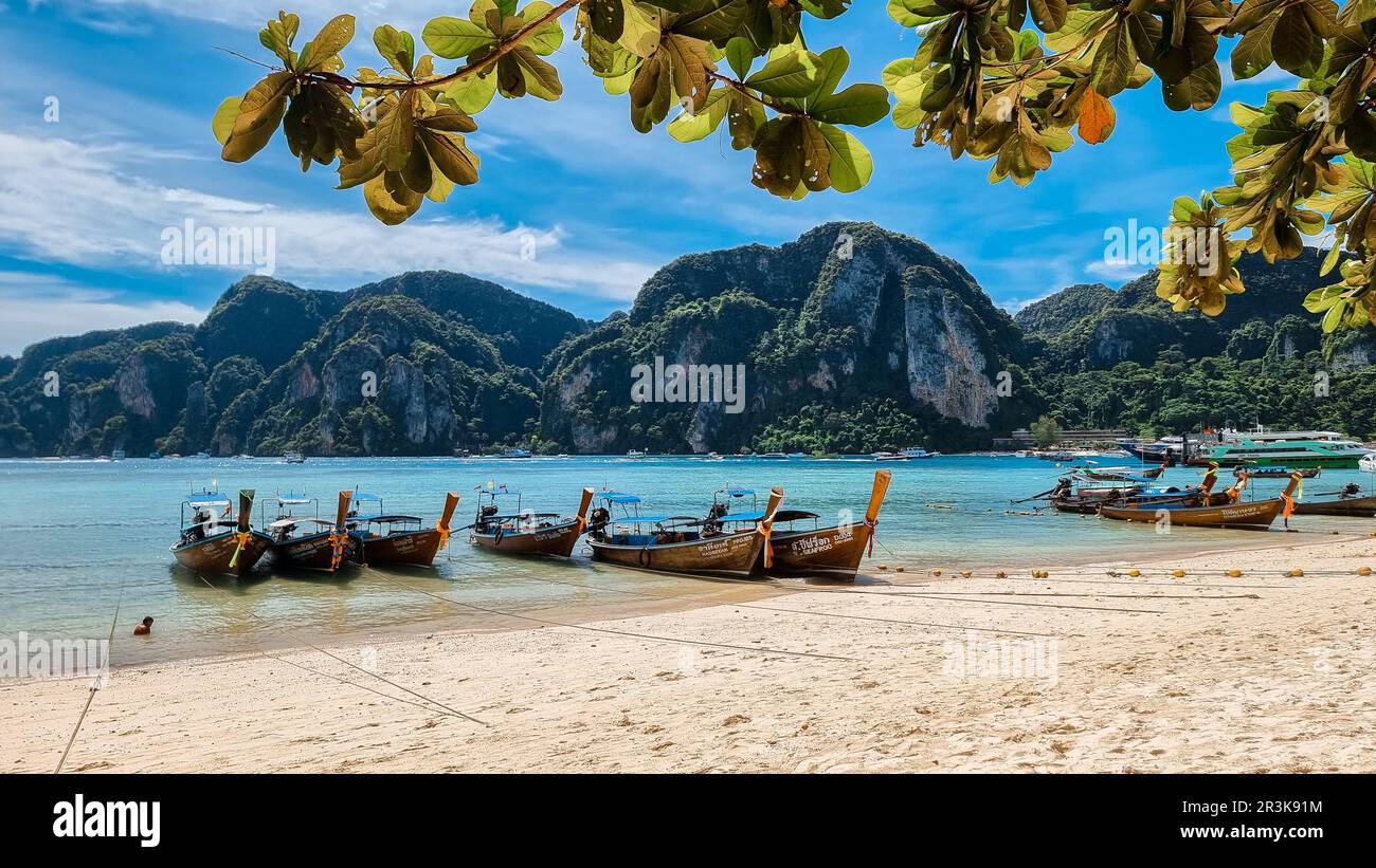 Koh Phi Phi Thailand, longtail boats on the beach of Koh Phi Phi Don ...