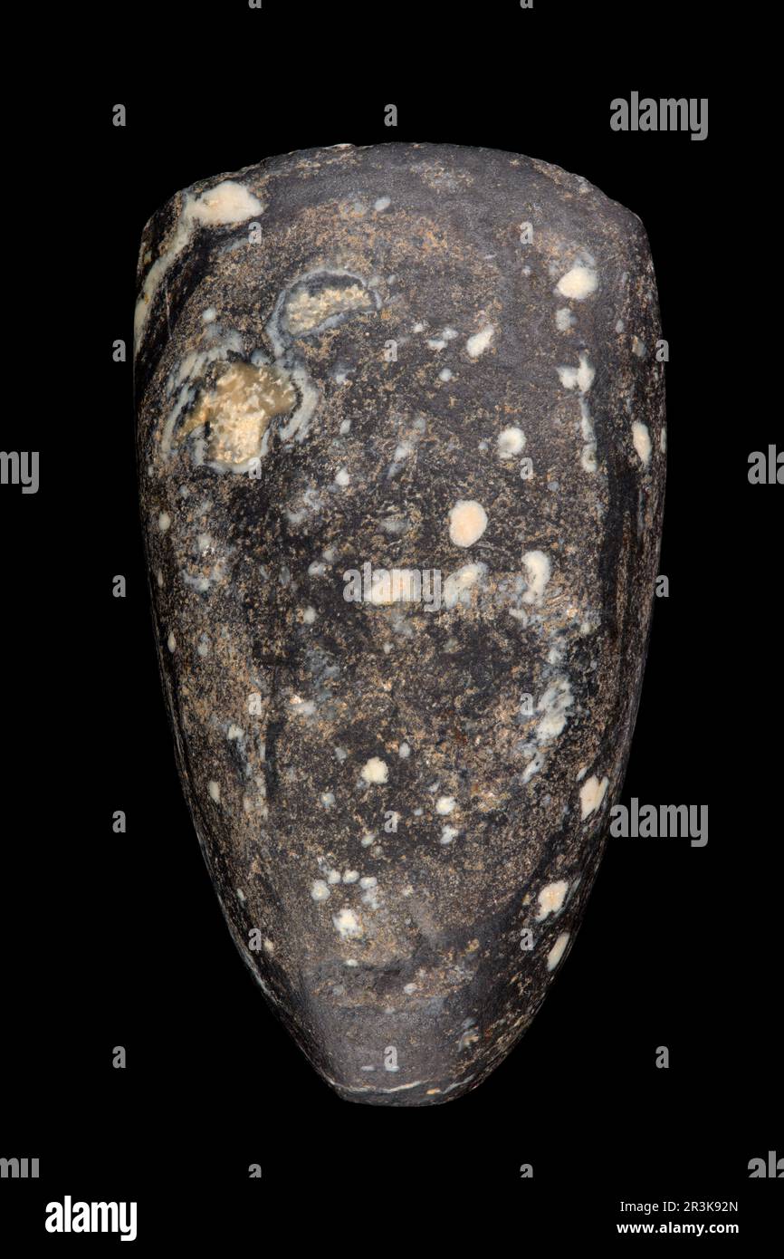 Stone polished axe. North Africa, Neolithic. 4.5cm Stock Photo - Alamy