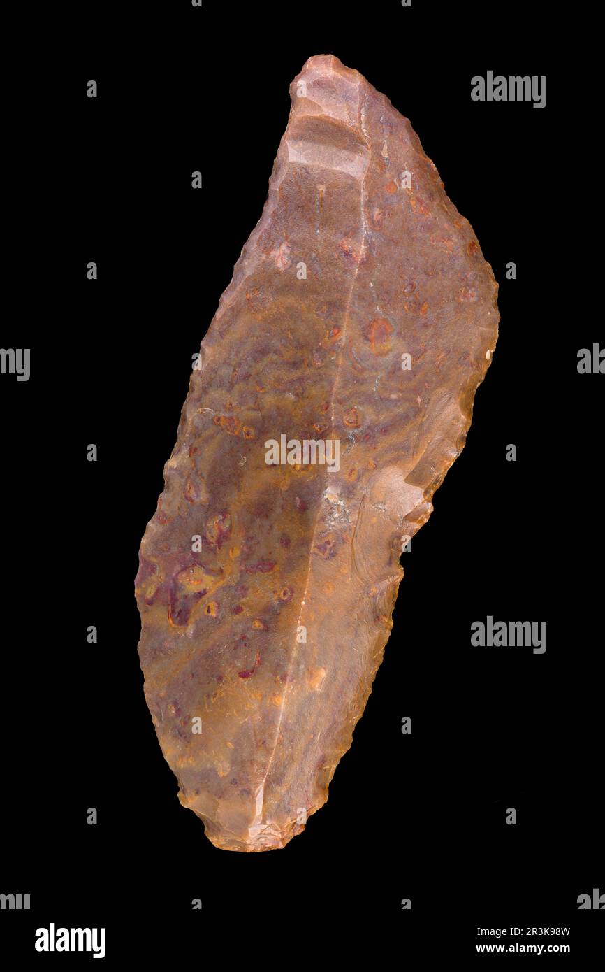 Scraper. Neolithic period. North Africa. 12,6 cm Stock Photo - Alamy