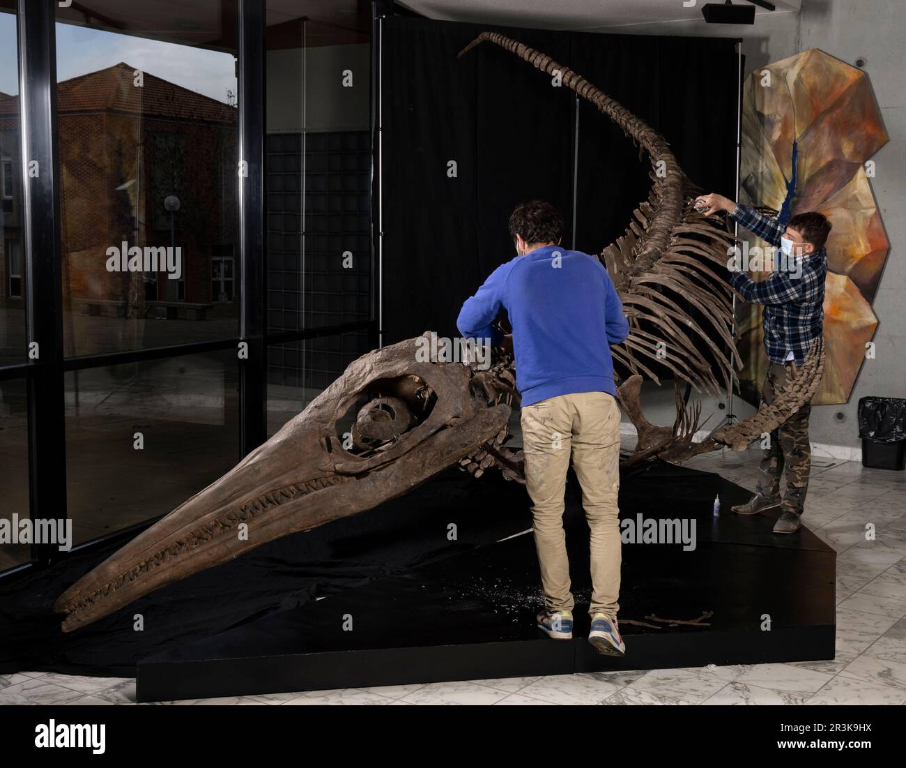 New yet undescribed giant ichthyosaur species from the Lower Cretaceous ...