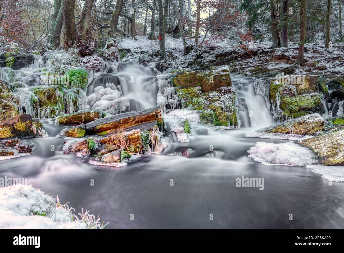 Die selke im harz hi-res stock photography and images - Alamy