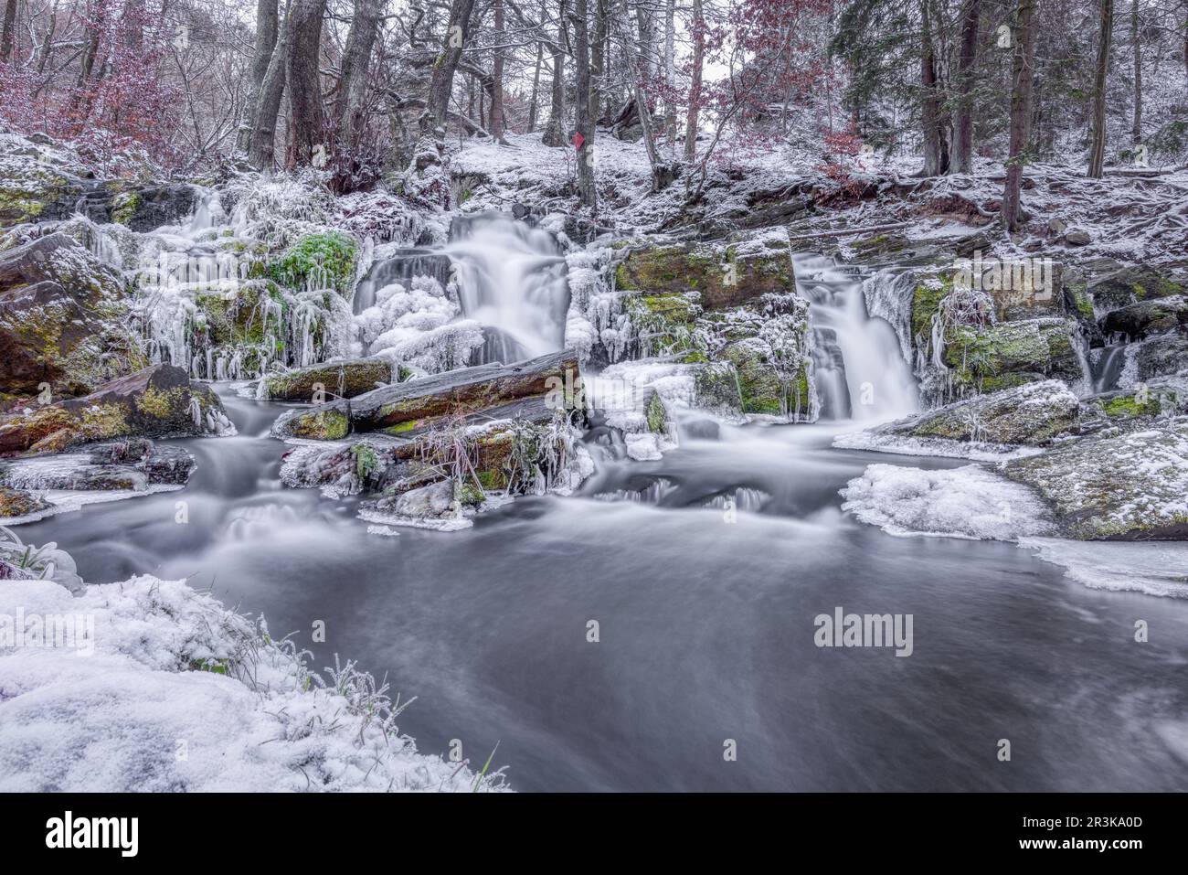 Die selke hi-res stock photography and images - Alamy